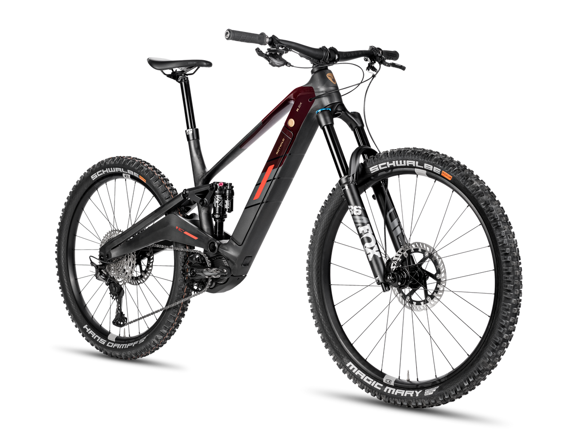 Rotwild R.EX Core – ebike-warehouse.de